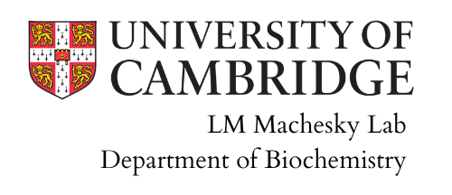 The Machesky Lab – The Machesky Lab, led by Professor Laura Machesky at ...